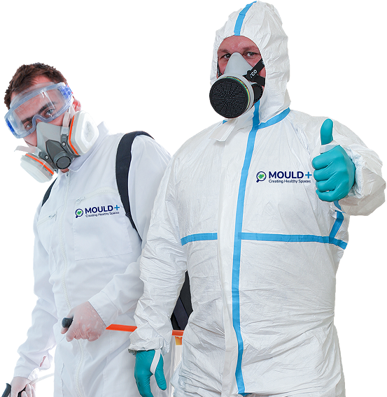 About Us - Mould Plus